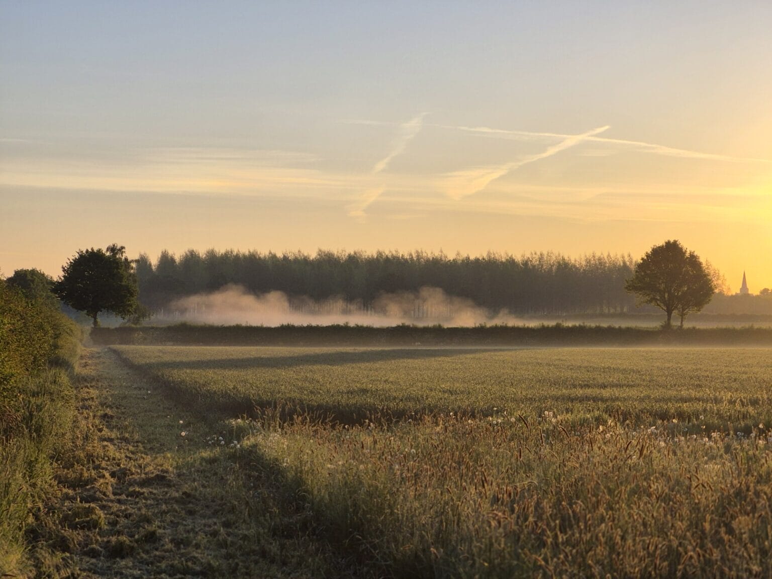 Le Ferme du parc Maximilien - House of Agroecology